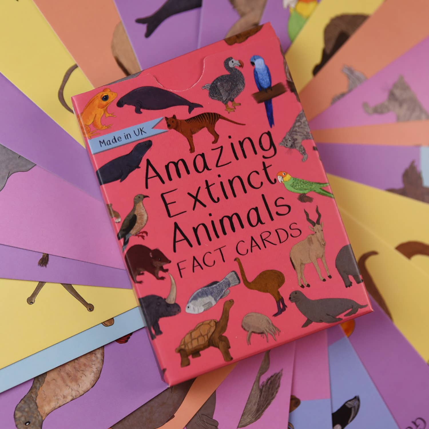 Button & Squirt - Amazing Extinct Animals Fact Cards – Dottie & Oscar